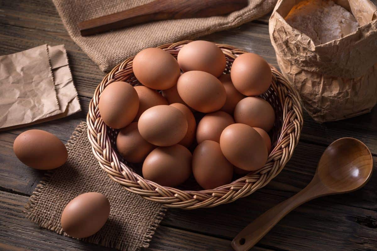How to Store Farm Fresh Eggs: Tips and Tricks